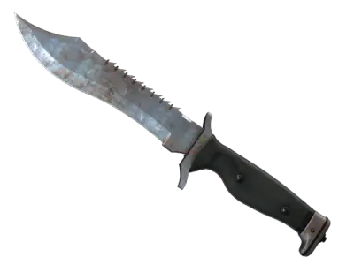 StatTrak™ Bowie Knife | Rust Coat (Well-Worn) price, buy, how much it costs
